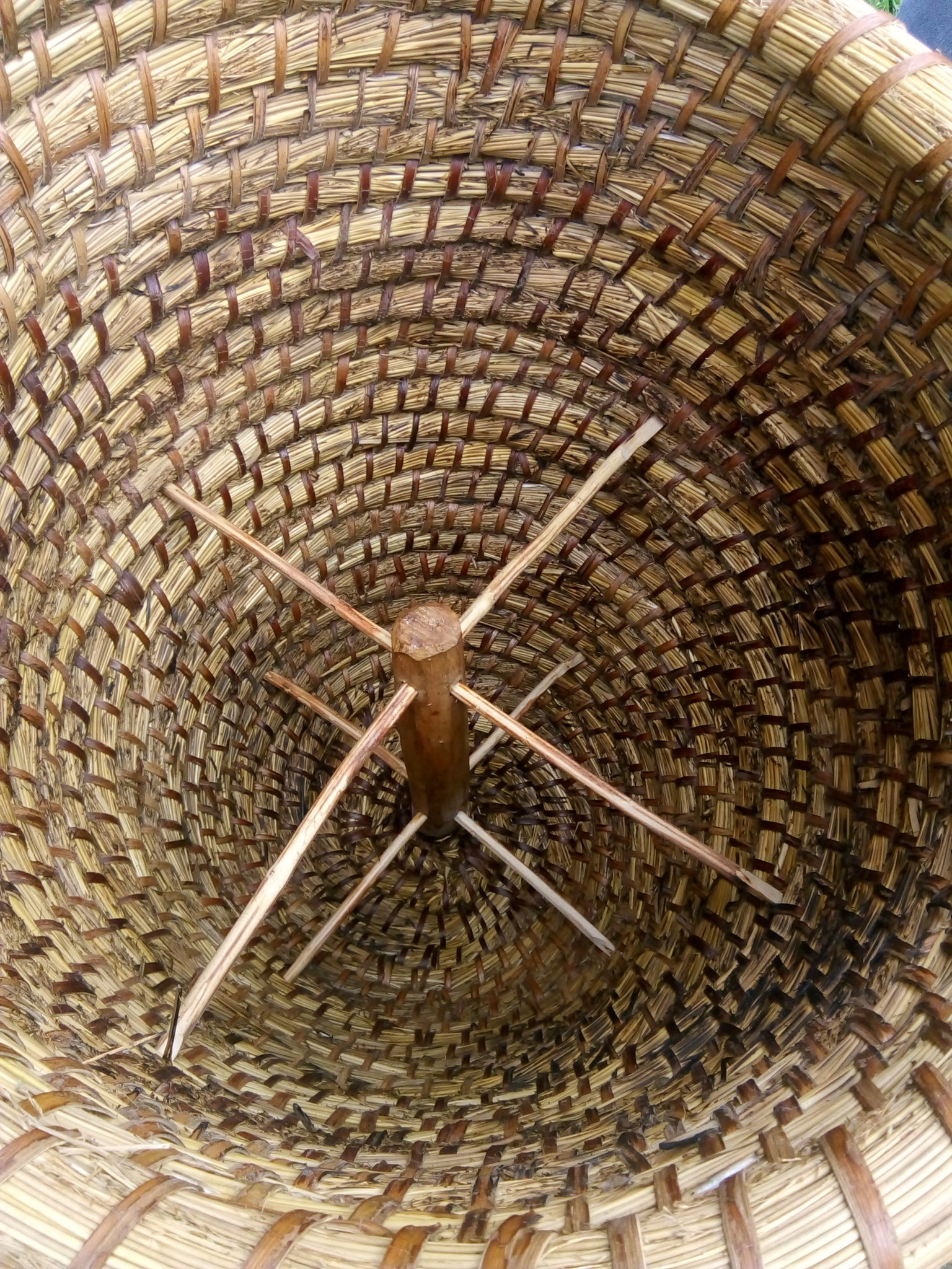 Qu'est ce que la vannerie sauvage Vannerie sauvage - Les Berces